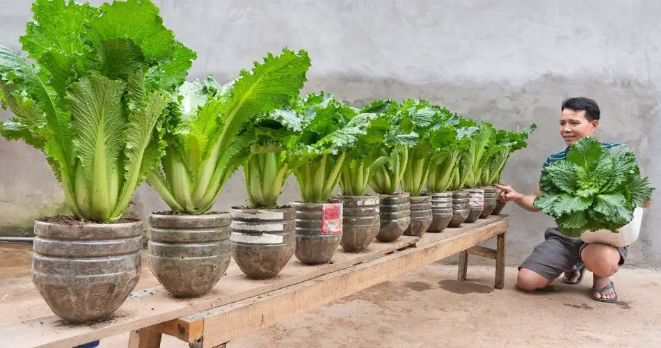 The miracle of recycling plastic waste into a beautiful, unique ...