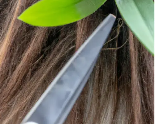 WHY PUT HAIR IN PLANTS? BENEFITS AND OTHER USES – Plants and Garden Tips