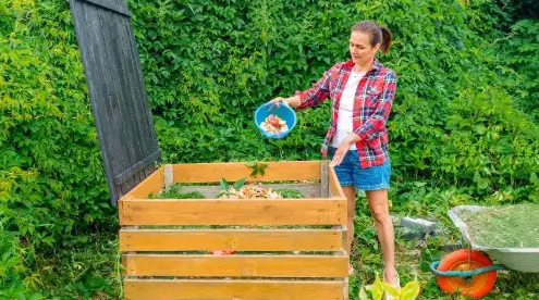 OPEN OR CLOSED COMPOSTER: MISTAKES TO AVOID WITH COMPOST – Plants and ...