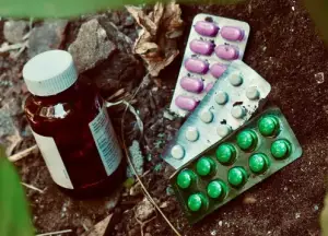 THE USE OF PARACETAMOL FOR PLANTS: GOOD OR BAD IDEA? DECRYPTION ...