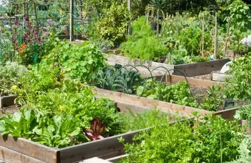 HOW TO BUILD VEGETABLE GARDEN CONTAINERS? WHY GARDEN IN CONTAINERS ...