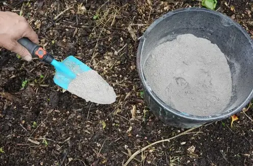WHEN TO PUT ASH ON THE LAWN? WHAT ARE THE BENEFITS AND MISTAKES TO ...