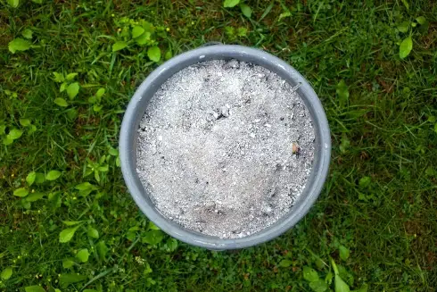 WHEN TO PUT ASH ON THE LAWN? WHAT ARE THE BENEFITS AND MISTAKES TO ...