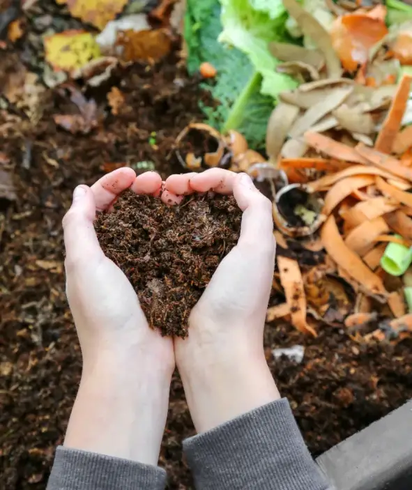 AERATING COMPOST: EVERYTHING YOU NEED TO KNOW! – Plants and Garden Tips