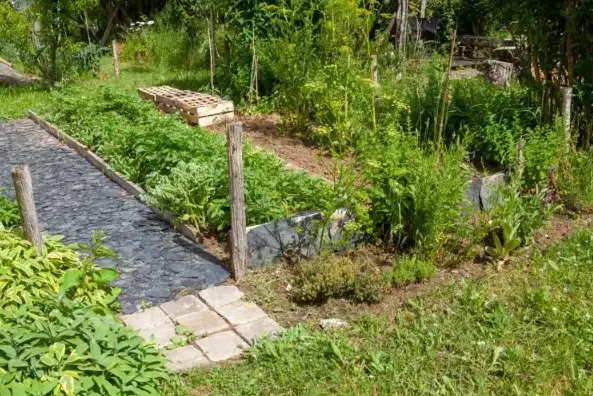 HOW TO MAKE PATHS IN YOUR VEGETABLE GARDEN? FROM WHAT MATERIAL ...