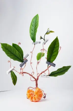 WHY PUT COPPER IN THE GARDEN? HOW TO BOOST PLANTS USING ELECTROCULTURE ...