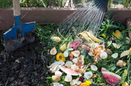 HOW TO ACCELERATE THE DECOMPOSITION OF COMPOST TO HAVE RICH FERTILIZER ...