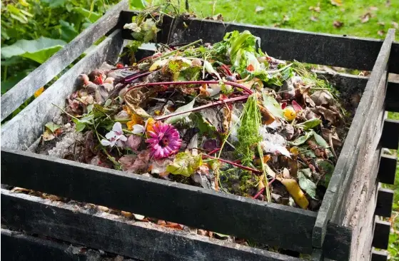 CAN YOU COMPOST CORKS? WHAT PRECAUTIONS SHOULD YOU TAKE? – Plants and ...