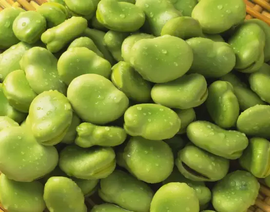 WHEN TO SOW BEANS? HOW ? WITH WHICH VEGETABLES? FOLLOW THE LEADER ...