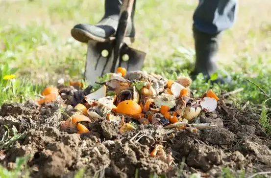 CAN MUSSEL SHELLS BE COMPOSTED AND HOW? WHAT ARE THE BENEFITS AND RISKS ...