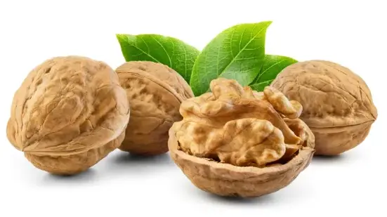 WALNUT SHELLS IN POTS: WHY PUT AND HOW TO APPLY? – Plants and Garden Tips