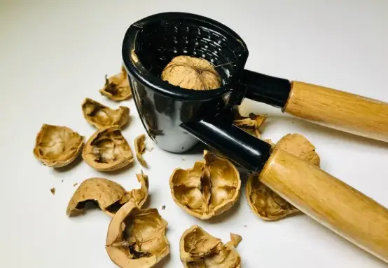 WALNUT SHELLS IN POTS: WHY PUT AND HOW TO APPLY? – Plants and Garden Tips