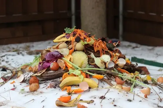WHY IS MY COMPOST NOT DECOMPOSING? DISCOVER THE 5 CAUSES AND THEIR ...