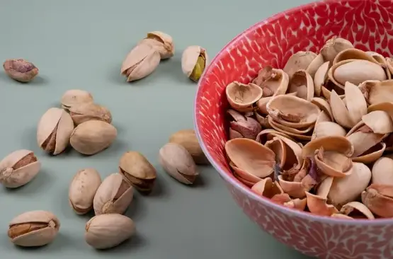 WHY PUT PISTACHIO SHELLS IN FLOWER POTS? HOW TO RECYCLE THEM? – Plants ... WHY PUT PISTACHIO SHELLS IN FLOWER POTS? HOW TO RECYCLE THEM? – Plants ...
