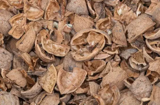 HOW TO USE WALNUT SHELLS IN THE GARDEN? 5 PRACTICAL IDEAS FOR RECYCLING ...