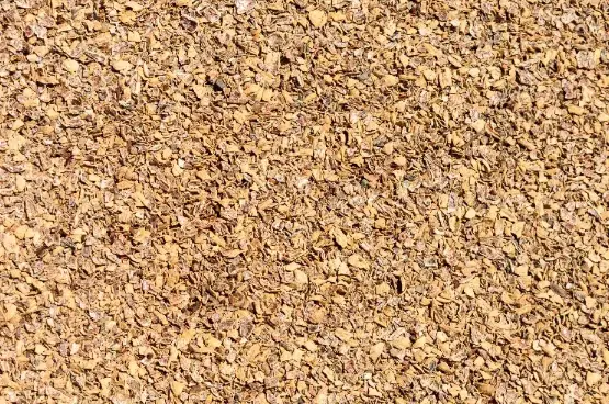 HOW TO USE WALNUT SHELLS IN THE GARDEN? 5 PRACTICAL IDEAS FOR RECYCLING ...