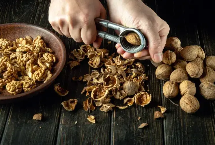 CAN WE PUT WALNUT SHELLS IN PLANTS AND FOR WHAT REASONS? – Plants and ...