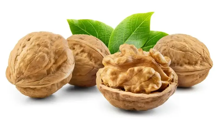 CAN WE PUT WALNUT SHELLS IN PLANTS AND FOR WHAT REASONS? – Plants and ...