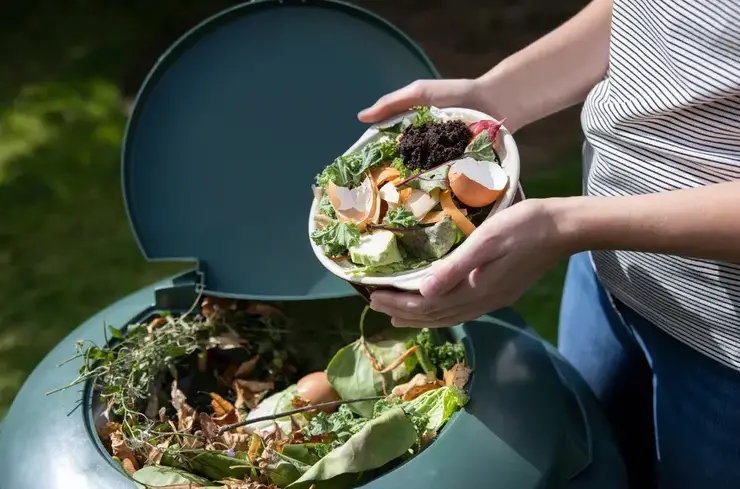 COMPULSORY COMPOSTING 2024: WHERE TO PLACE THE COMPOST BIN IN THE ...
