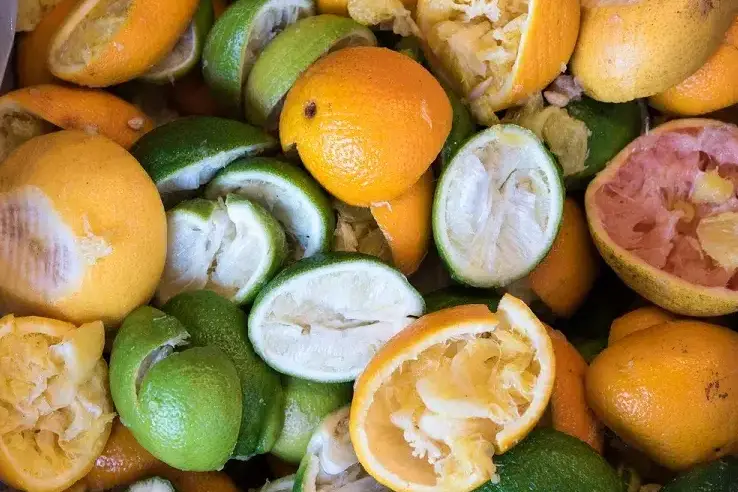 FRUIT PEEL FERTILIZER: WHAT ARE THE MOST NUTRITIOUS FOOD SCRAPS FOR ...