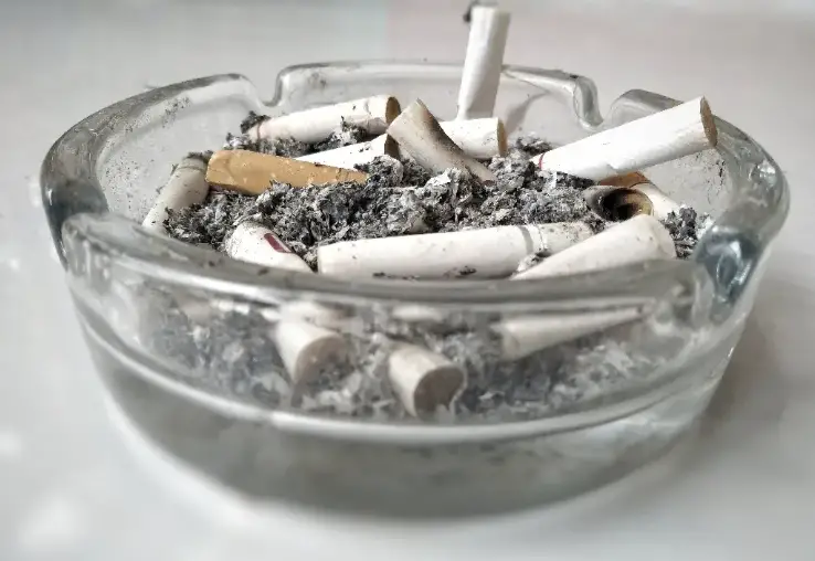 CIGARETTE ASH FERTILIZER: WHAT ARE ITS BENEFITS ON OUR PLANTS? – Plants ...