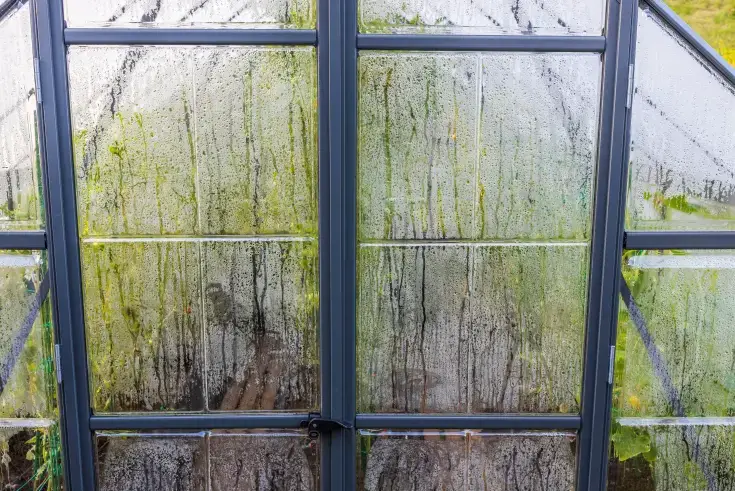 HOW TO PREVENT CONDENSATION IN YOUR GREENHOUSE – Plants and Garden Tips
