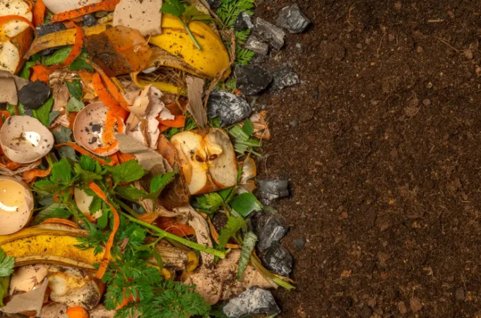WHY PUT ASHES IN THE GARDEN? WHEN, WHERE AND HOW? THESE 5 USES WILL ...