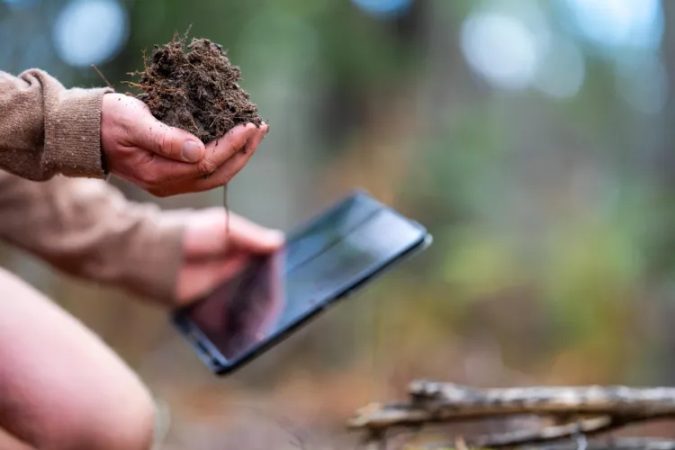 Microbial Herbal Tea: What It Is and How to Use It – Plants and Garden Tips