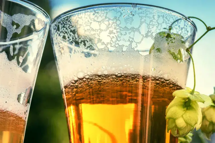 How to Use Beer in the Garden: 5 Unexpected Benefits! – Plants and ...