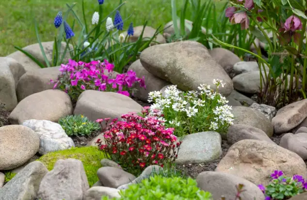 How to Grow Rockery Flowers: The 5 Best Varieties for Sun or Shade ...