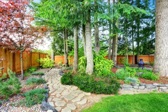 What to Plant at the Foot of a Pine Tree: 6 Top Plants That Can ...