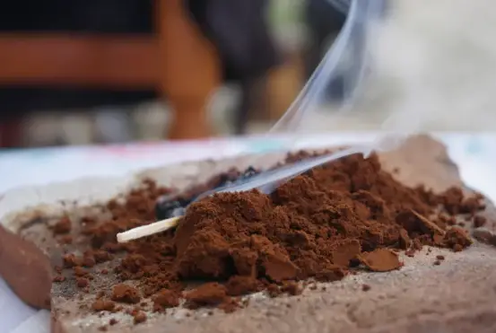 What Insect Doesn’t Like Coffee Grounds? How to Use Them as a Repellent ...