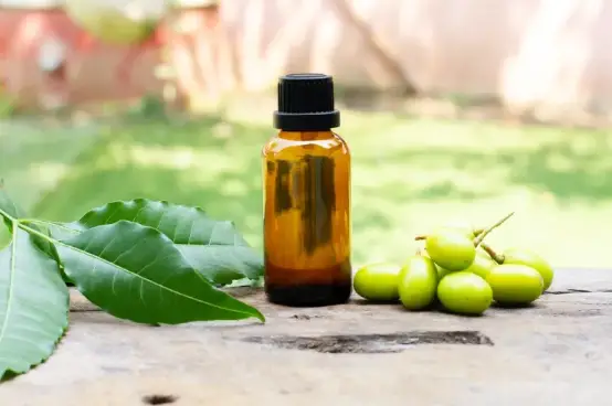 How to Use Neem Oil in the Garden: Benefits and Best Practices – Plants ...
