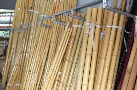 How to Dry Bamboo: Practical Tips for Success – Plants and Garden Tips