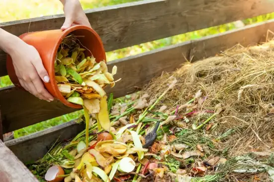 When to Empty the Composter: 6 Essential Techniques for Proper ...