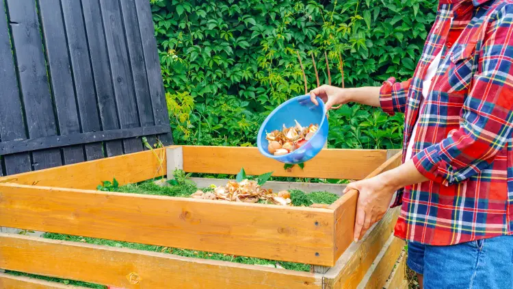 How to Maintain Compost in Summer: 6 Tips for Better Composting During ...