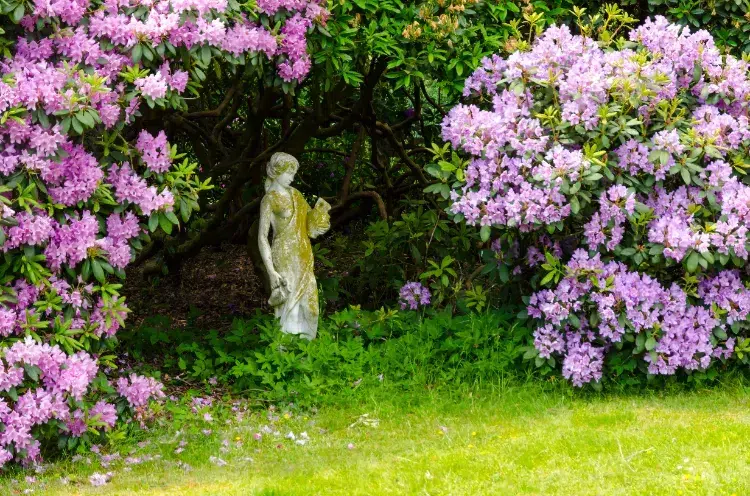 How to Remove Moss from a Statue: Simple Tips to Revive Its Beauty ...