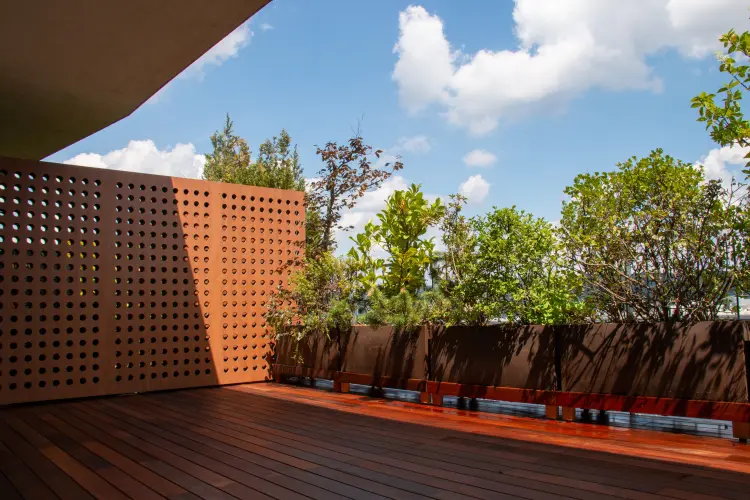 🌿 5 Fast-Growing Privacy Screen Plants for Your Balcony or Terrace ...